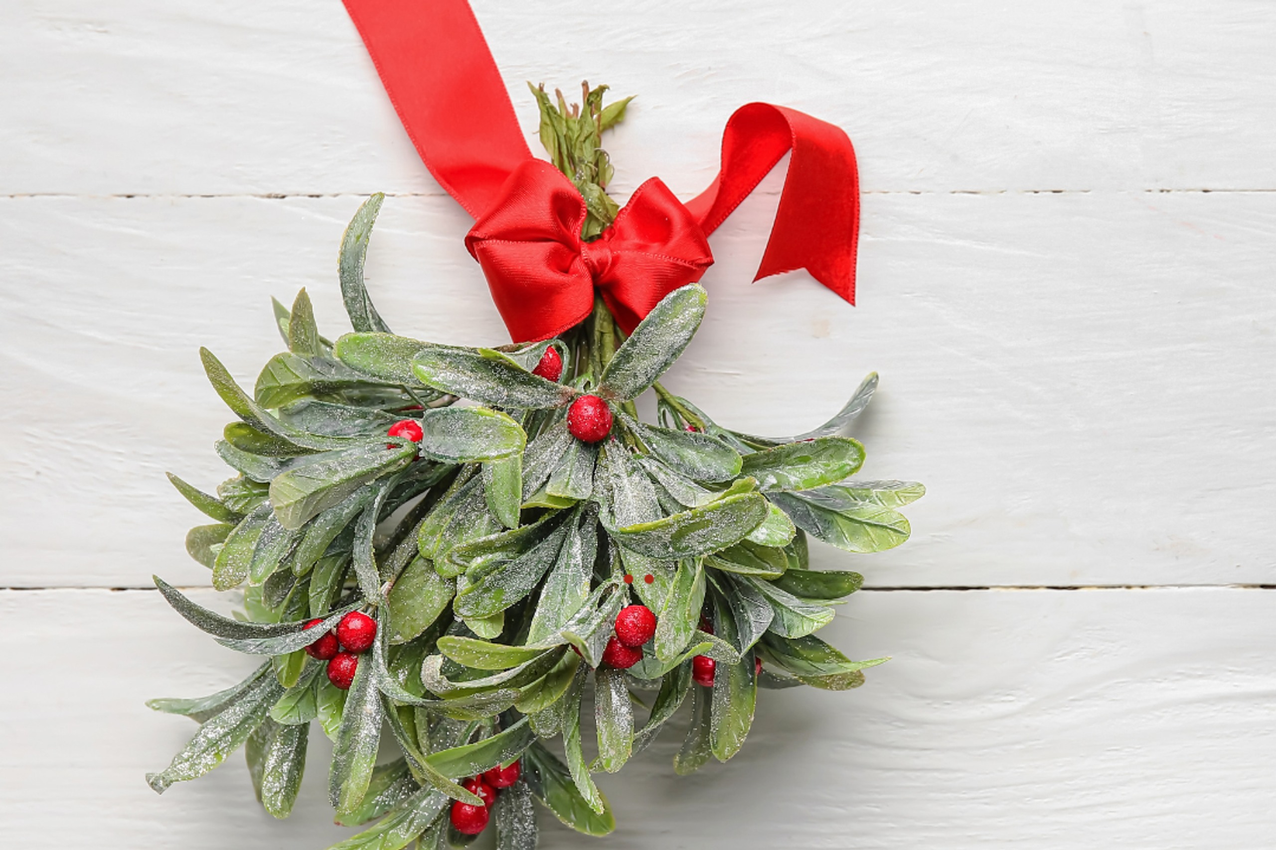 Köp din julmistel på Finnslätten och stöd Små hjärtan | Media | Castellum